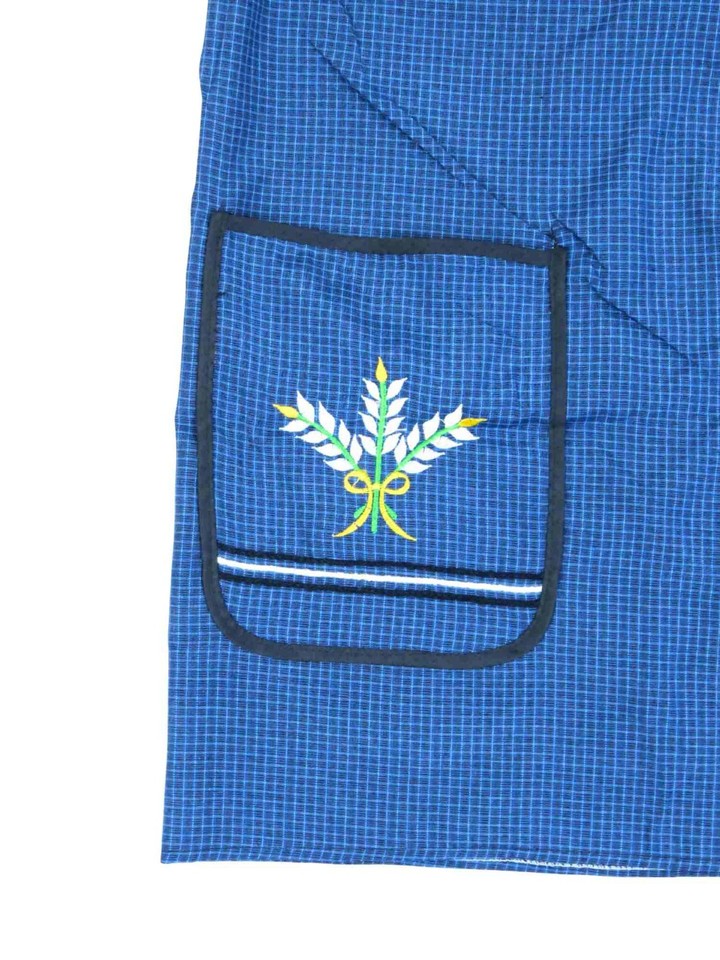 Dona Lucha Embroidered Mexican Apron for Women | Adult | Floral ...