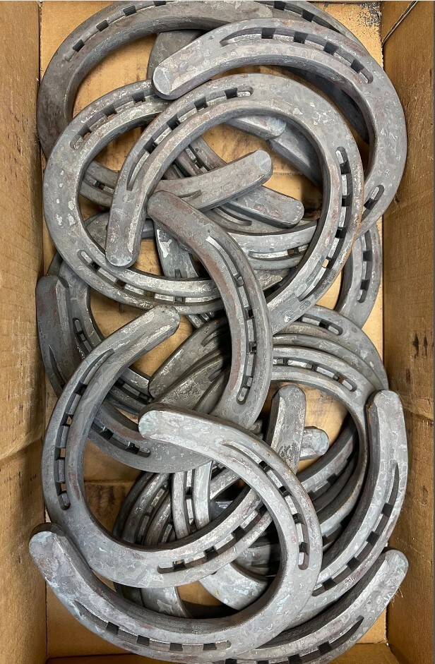 Lot of 20 (10 Pairs) Diamond Farrier 00PLAINB BRONCO Horseshoes, Size ...