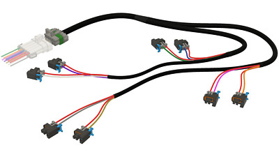 Fuel Injector Harness Multec 2 Type for Holley EFI Replaces 558-214 | eBay
