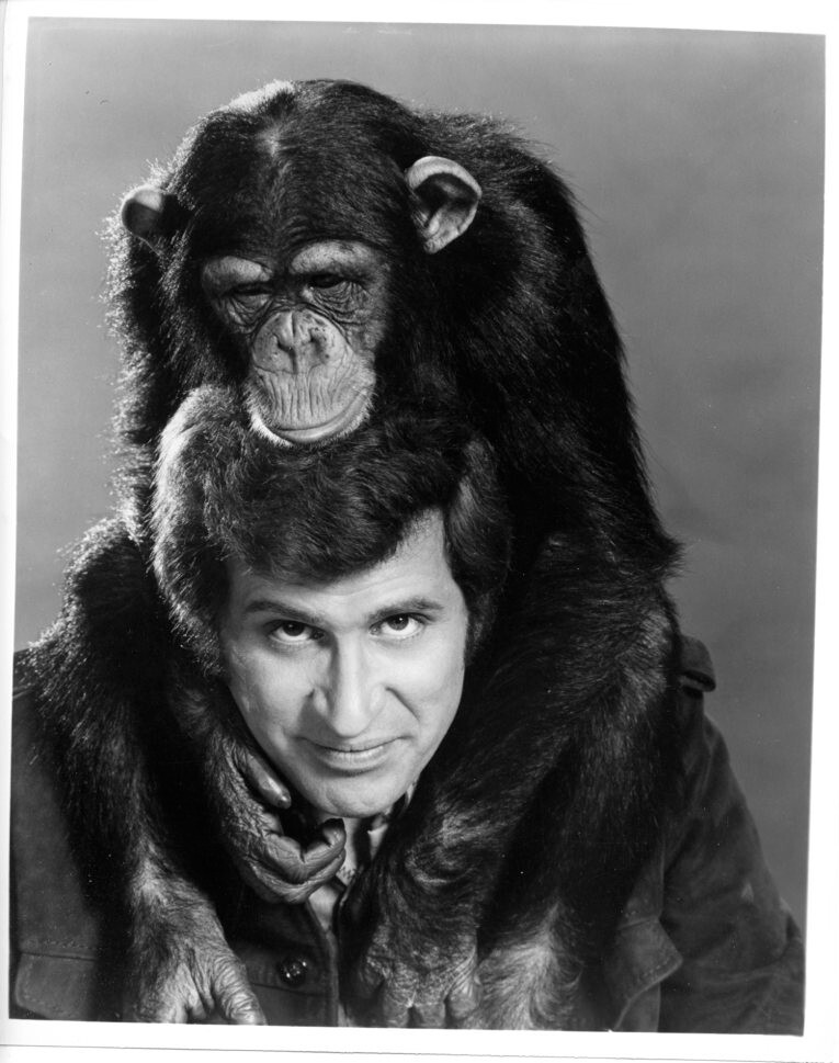 Ted Bessell Me and The Chimp 8x10 original photo #J1201 | eBay