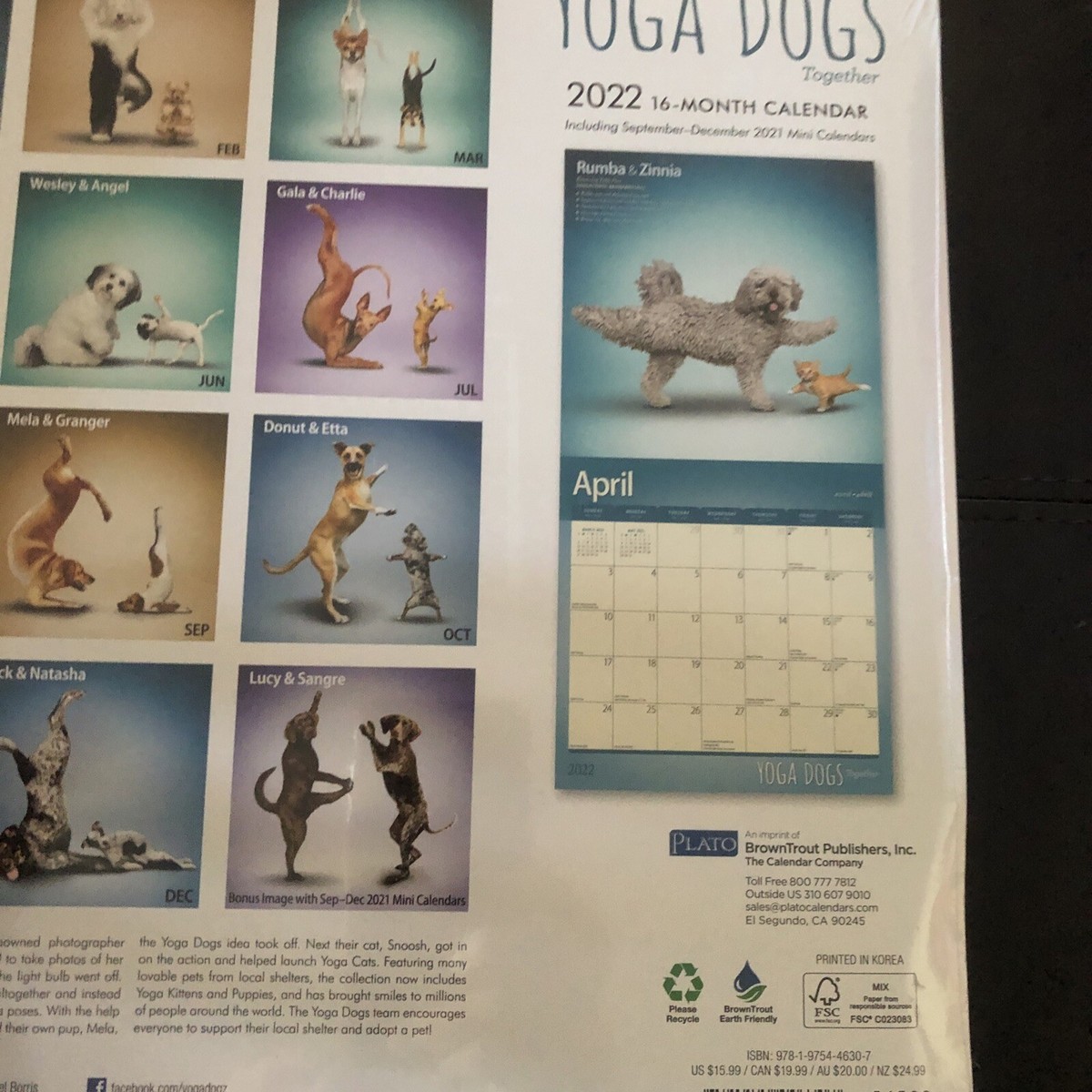 Yoga Dog Calendar Yoga Puppies & Kittens Together OFFICIAL 2022 Mini
