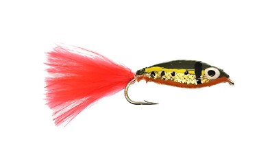 3 Epoxy Minnow Flies ROACH Fry Baitfish STREAMERS Lures FLY Fishing ...