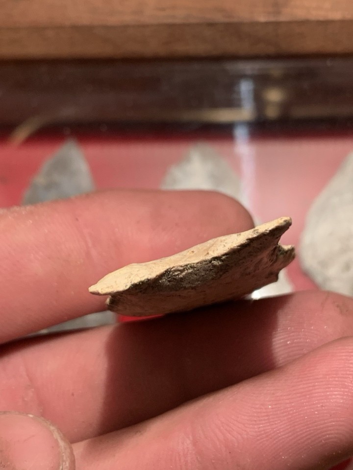 Textbook Florida Paleo Bull Tongue Simpson Arrowheads Spear Point G9 ...