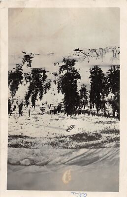 J19/ Alice Colorado RPPC Postcard c1910 Mining Ghost Town 117 | eBay