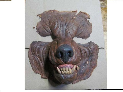 Unknown Werewolf Prosthetic? Face Mask Movie Prop? | eBay
