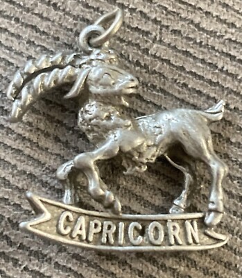 Capricorn Zodiac Sign Horoscope Metal Charm Pendant Fashion Jewelry | eBay