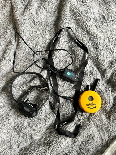 Mini Educator ET-300 Dog Training Collar, Remote E-Collar System and ...