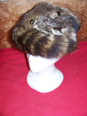 Real Coonskin Cap Raccoon Skin Fur Hat Mountain Man Frontiersman Cowboy ...