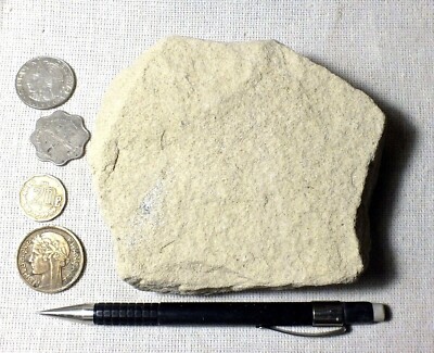 sandstone - Dakota Sandstone - hand specimen of fine grained buff ...
