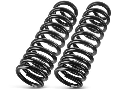 Front Coil Spring Set For 1980-1983 Ford F100 1981 1982 DH895SV | eBay