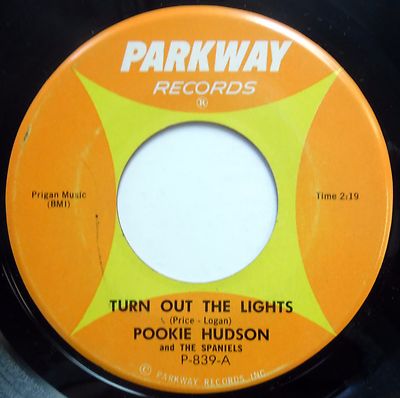 POOKIE HUDSON & SPANIELS 45 Turn Out The Lights / John Brown VG++ Doo ...