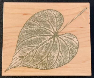 Hero Arts Redbud Leaf Impressions Rubber Stamp N2112 | eBay