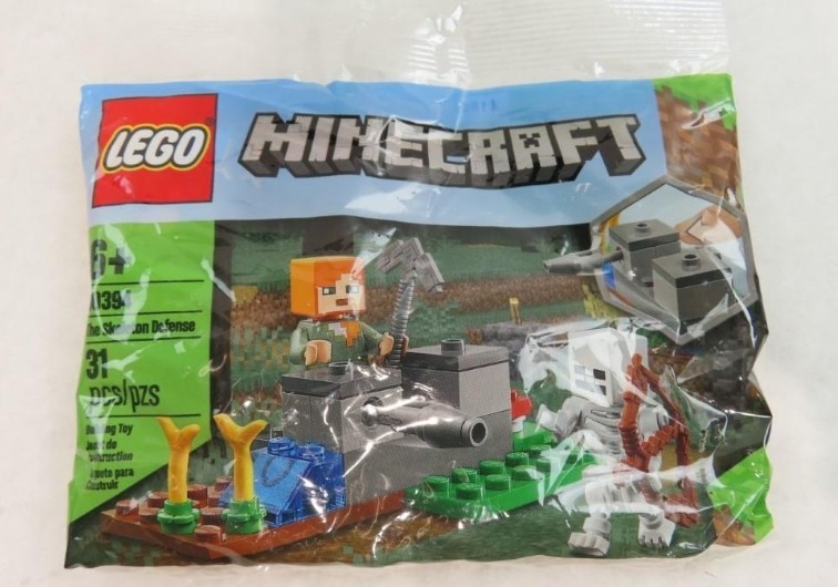 🧱 “Block & Bone” – LEGO Minecraft Skeleton Defense 30394 | 2020 Polybag ...