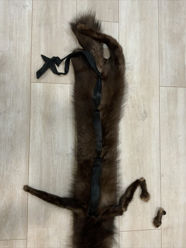 Silver Fox Soft Mount Pelt Skin 44x7 | eBay