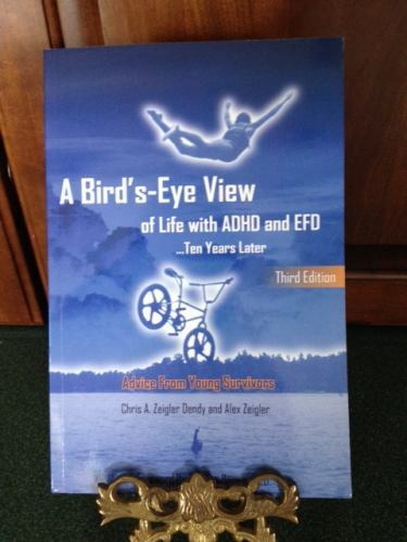 A Bird's Eye View Of Life with ADHD and EFD ...Ten Years Later ...