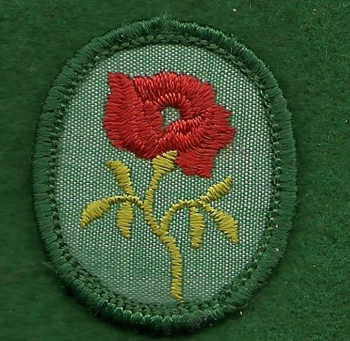 GIRL SCOUT TROOP CREST - CHEESECLOTH BACK - RED ROSE | eBay