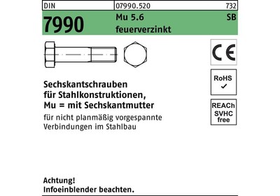 Reyher Sechskantschraube DIN 7990 CE m.Sechskantmutter M 20 x 70 5.6 ...