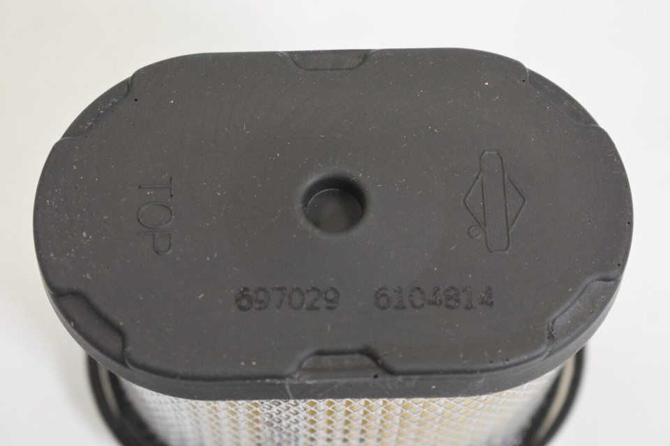 Briggs & Stratton 697029 Genuine OEM Air Filter A/C Cartridge Cleaner ...