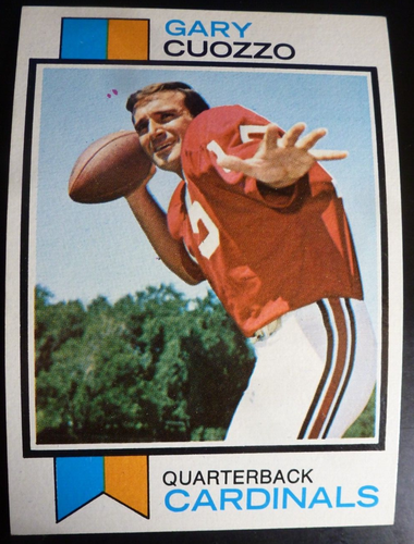 1973 Topps Gary Cuozzo, #156, St. Louis Cardinals EX/NM | eBay