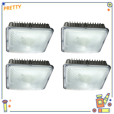 Lighting & Lasers - Loading Dock Light