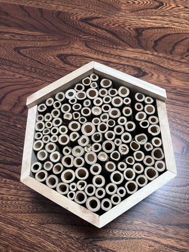 Brand New Large Mason Bee House Attract & Provide Nesting For ...