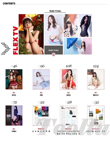 FLEX TV Magazine Korea Streamer BJ 2022 DECEMBER Addielyn ad1yn2 addielyn22 | eBay