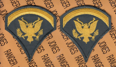 US Army E-5 Enlisted Specialist Fifth Class SPEC-5 MALE rank ~3.5 ...