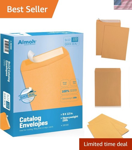 100 Count 9x12 Self-Seal Brown Kraft Envelopes - Perfect for Catalogs ...
