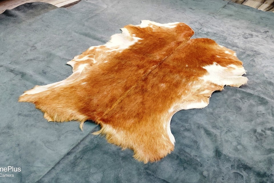 Neutral Animal Skin Pelt decor, Nordic Goat Hide, Taxidermy Leather Fur ...