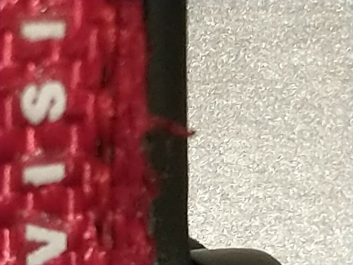 Diesel Mr. Daddy 2.0 57mm Silver Stainless Steel Case with Red Nylon ...