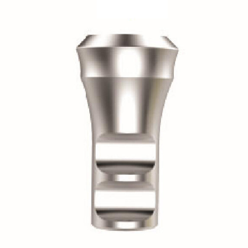Straumann Compatible Dental WP Octa Abutment Analog | eBay