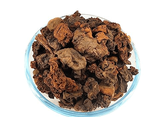 Mochras Phool Supari Kali Salmalia malabaricum Bombax Ceiba Red Silk ...