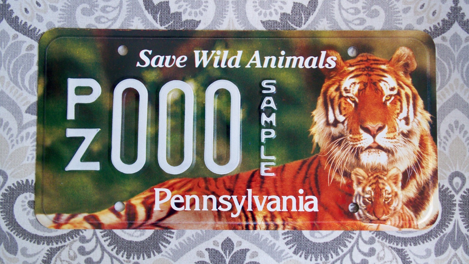Pennsylvania Save Wild Animals Tiger & Cub Sample License Plate PZ 000 ...
