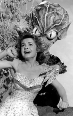 Antique Halloween Photo 1293 Oddleys Strange & Bizarre | eBay