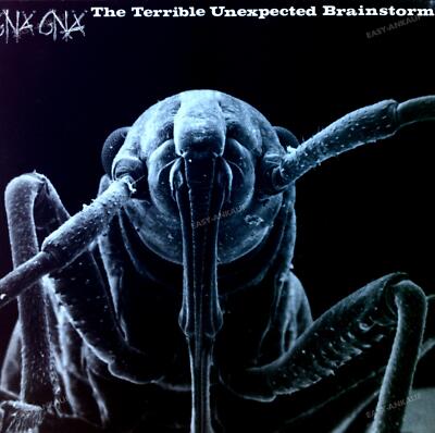 Gnä Gnä - The Terrible Unexpected Brainstorm LP (VG/VG) . | eBay