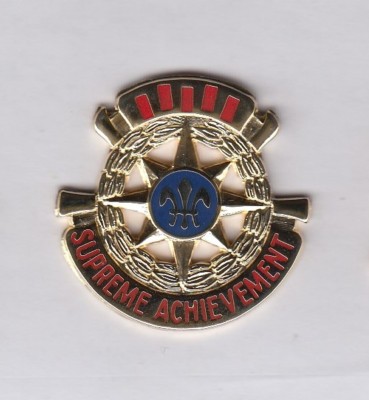 US Army 335th Personnel & Administration Bn P&A Replacement crest DUI ...