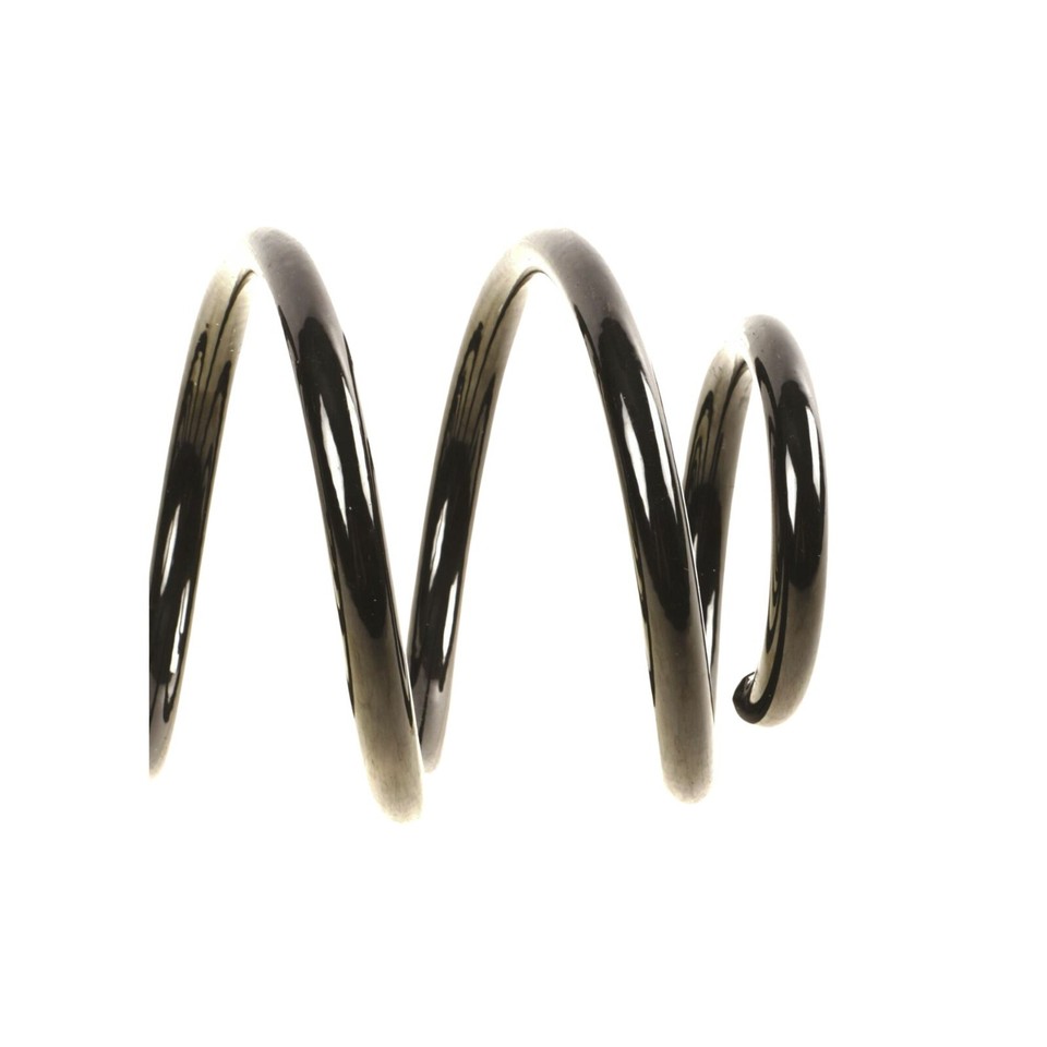Rear Coil Spring For Ford Fiesta Rear Onwards MK6 MK7 Petrol and Diesel ...