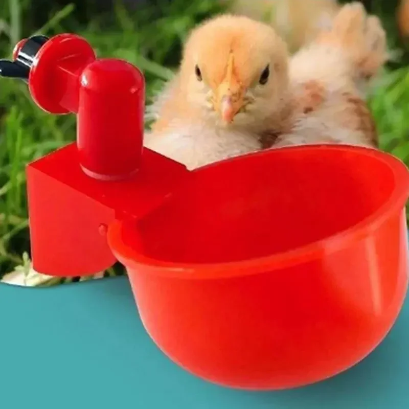 1-10 Poultry Water Drinking Cups Chicken Hen Quail Plastic Automatic ...