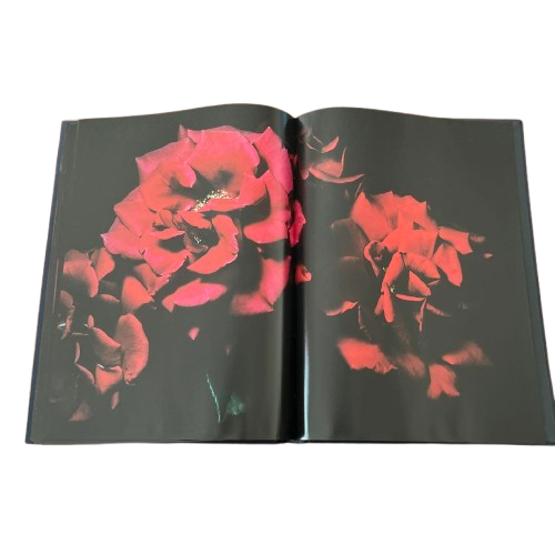 VISIONAIRE No.40 DAVID SIMS ROSES Limited to 3000 2003 40pages H388× ...