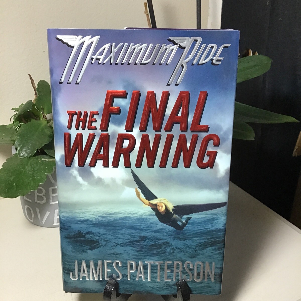 Maximum Ride Book 4