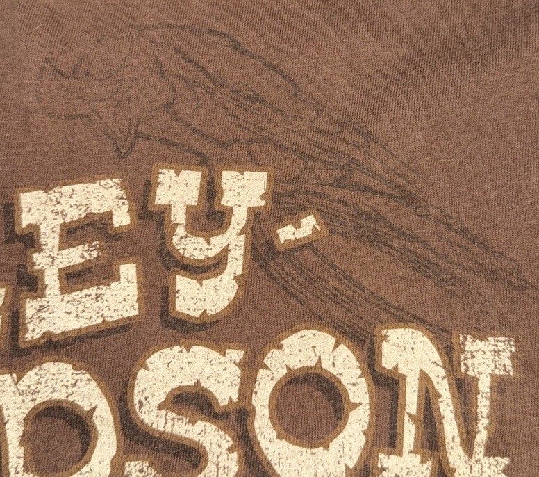 Y2K Harley-Davidson Looney Tunes Warner Bros Cartoon Crew Short Sleeve ...