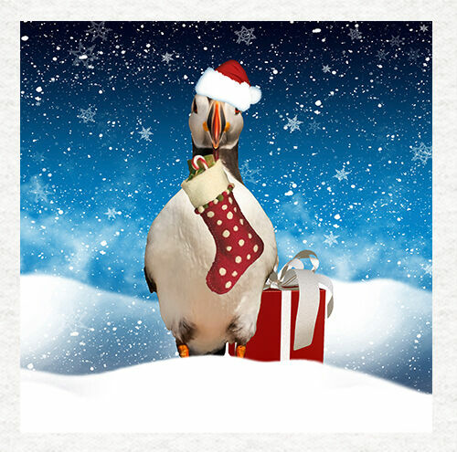 Christmas - Stocking Puffin Fabric Craft Panels in 100% Cotton or ...