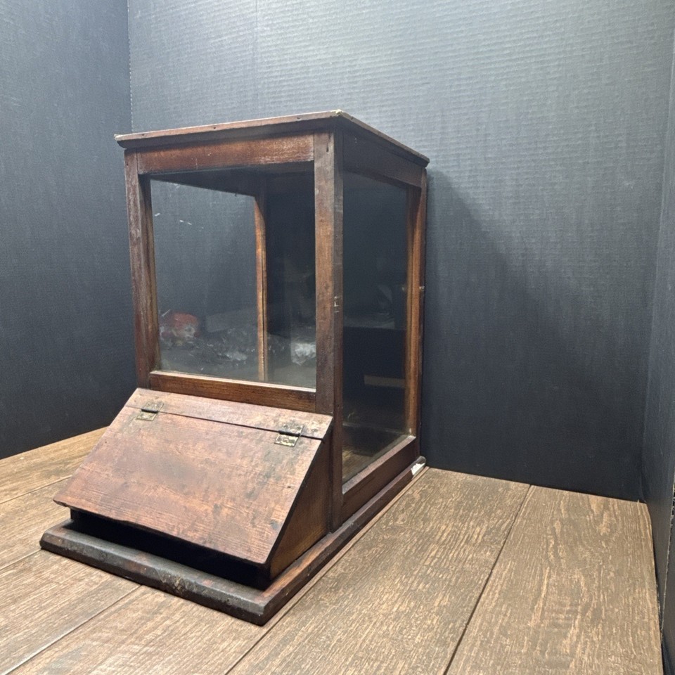 Country Store Display Show Case Counter Chip Display Case | eBay