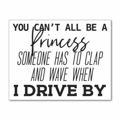 You Can Not All Be A Princess Sticker Decal Road Rage Funny Rude Silly ...