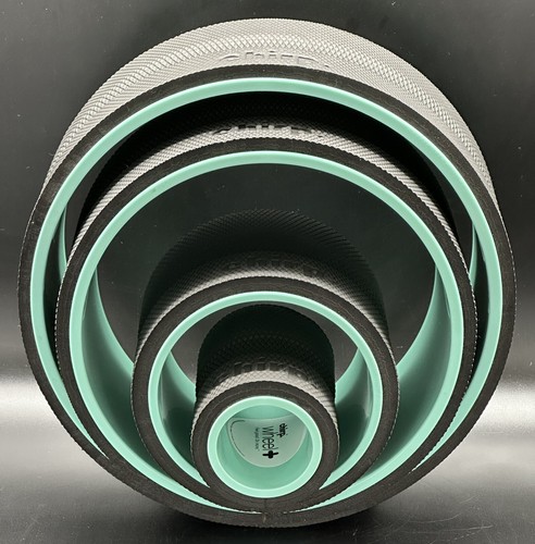 Chirp Wheel 4 Pack Mint Color With High Density Foam Back Pain Control | eBay