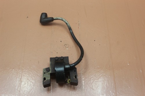 Briggs & Stratton 190412 OEM Engine Ignition Coil | eBay