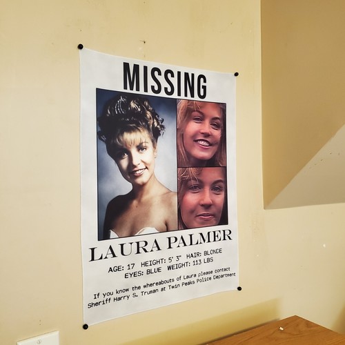 Laura Palmer missing poster (tapestry) Twin Peaks 🗻🗻 custom banner wall ...
