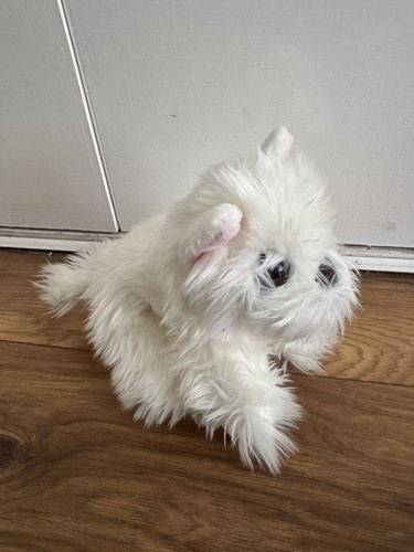 Keel Toys - Signature Cuddle - dog - Puppy Westie White Soft Fluffy ...