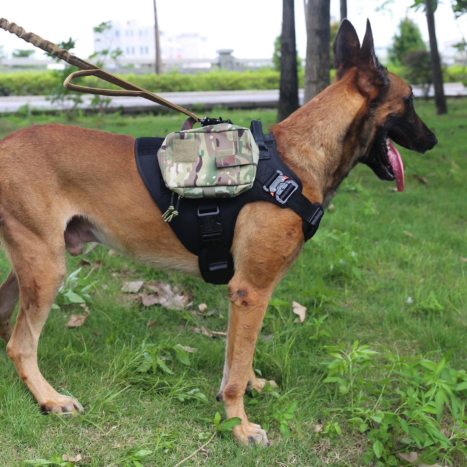 Icefang Tactical K9 Working Dog Vest Harness 2x Metal Buckle Range ...