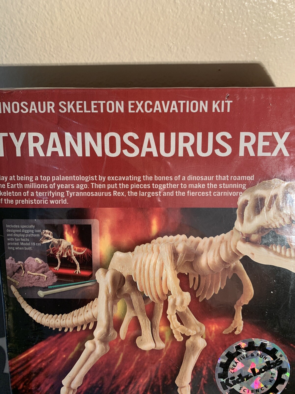 4M Kidz Labs Tyrannosaurus Rex T-Rex Dinosaur Skeleton Excavation Kit ...